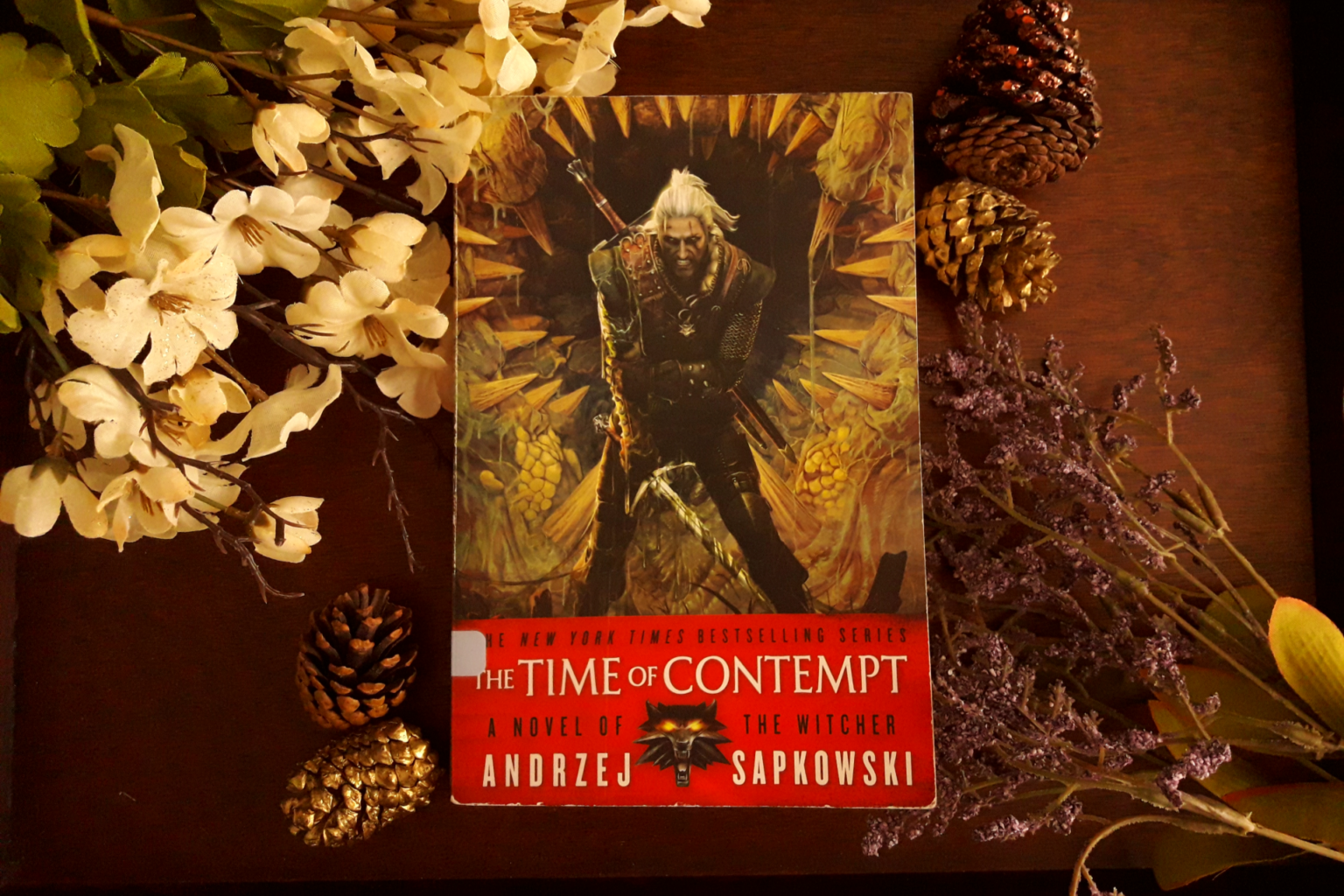 Book Review: The Time of Contempt by Andrzej Sapkowski (The Witcher ...