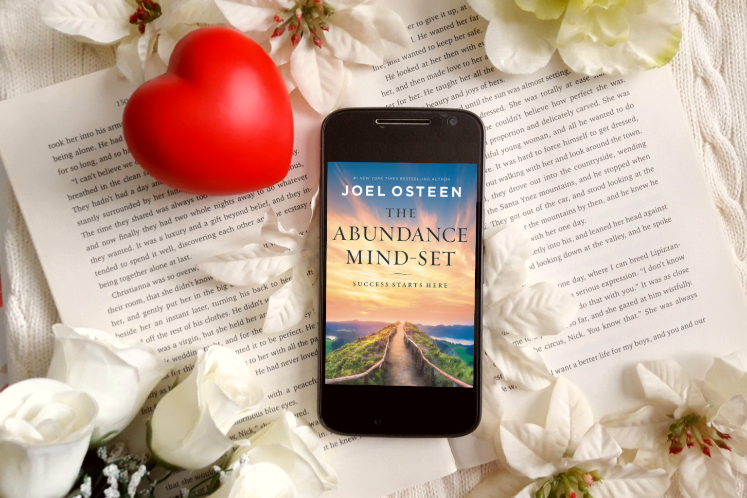 Book Review: The Abundance Mind-Set: Success Starts Here by Joel Osteen ...